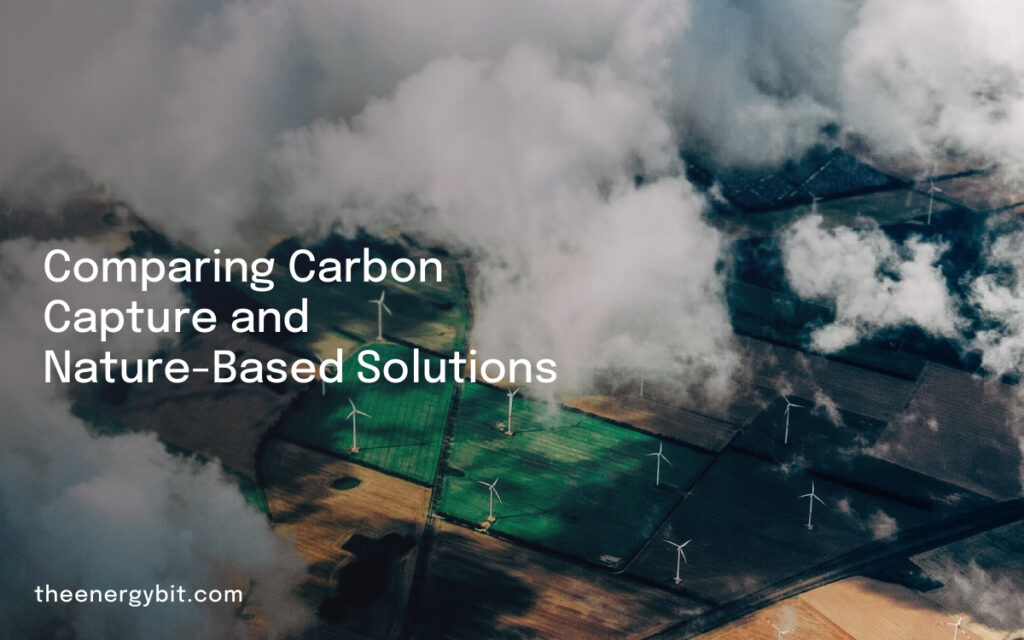Comparing Carbon Capture and Nature-Based Solutions